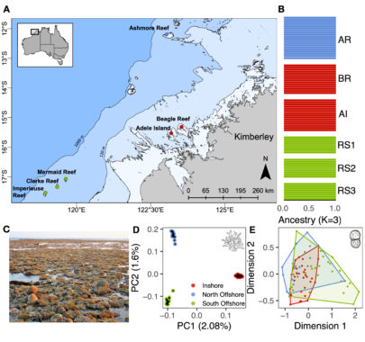 DNA reveals the past and future of coral reefs – Marine Omics